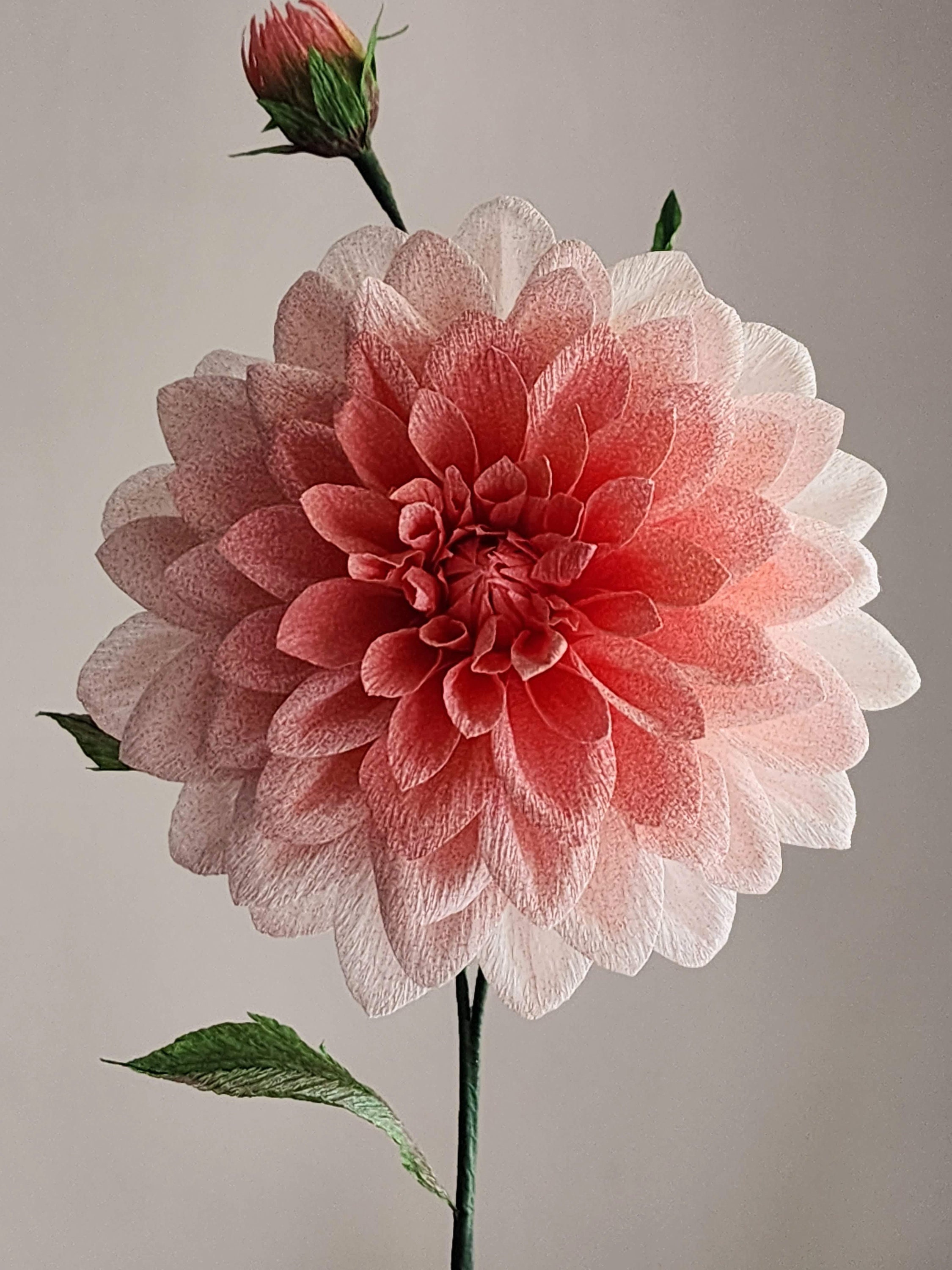 Crepe Paper Dahlia Crepe Paper Flower Handmade Floral Gift Home Deco - Etsy