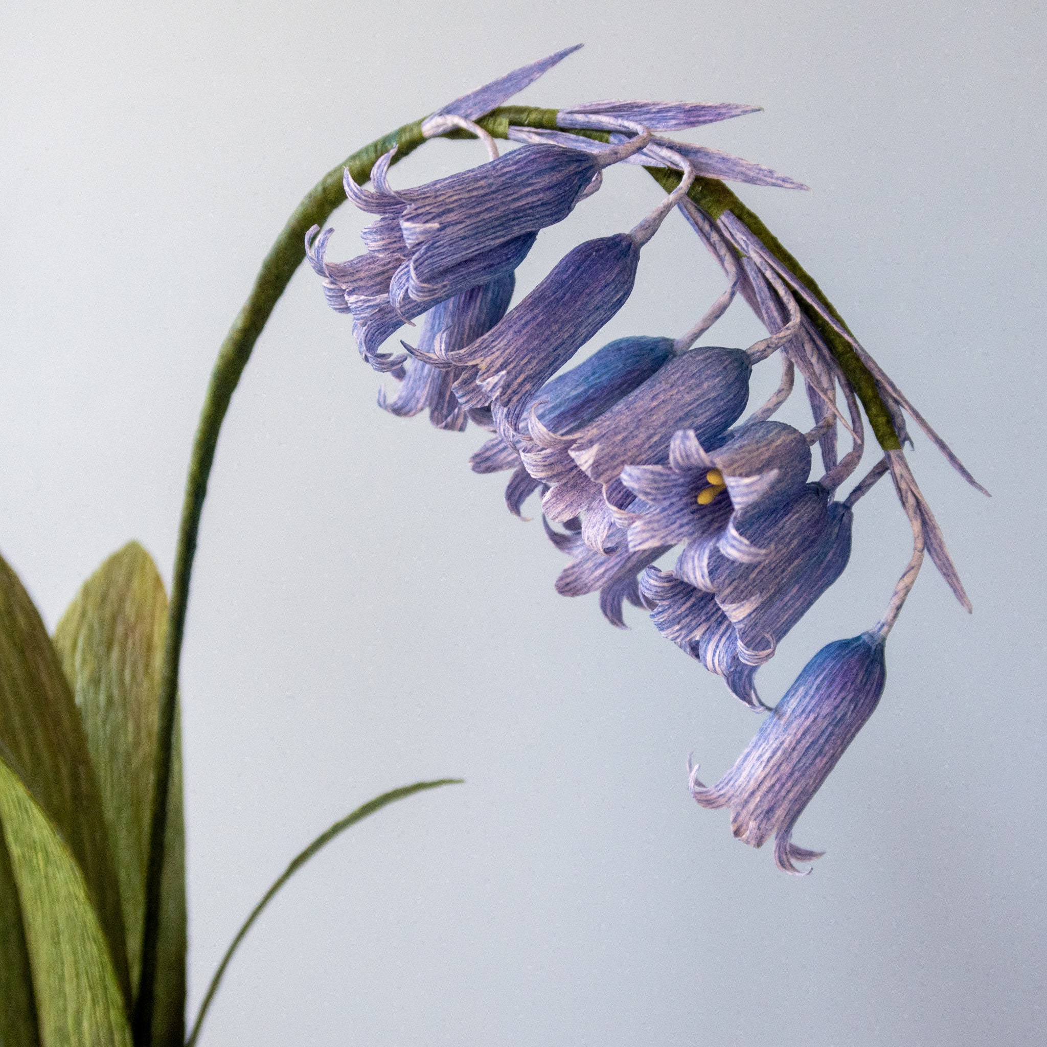 English Blue Bell Crepe Paper Flower Handmade Floral Gift Home Deco - Etsy