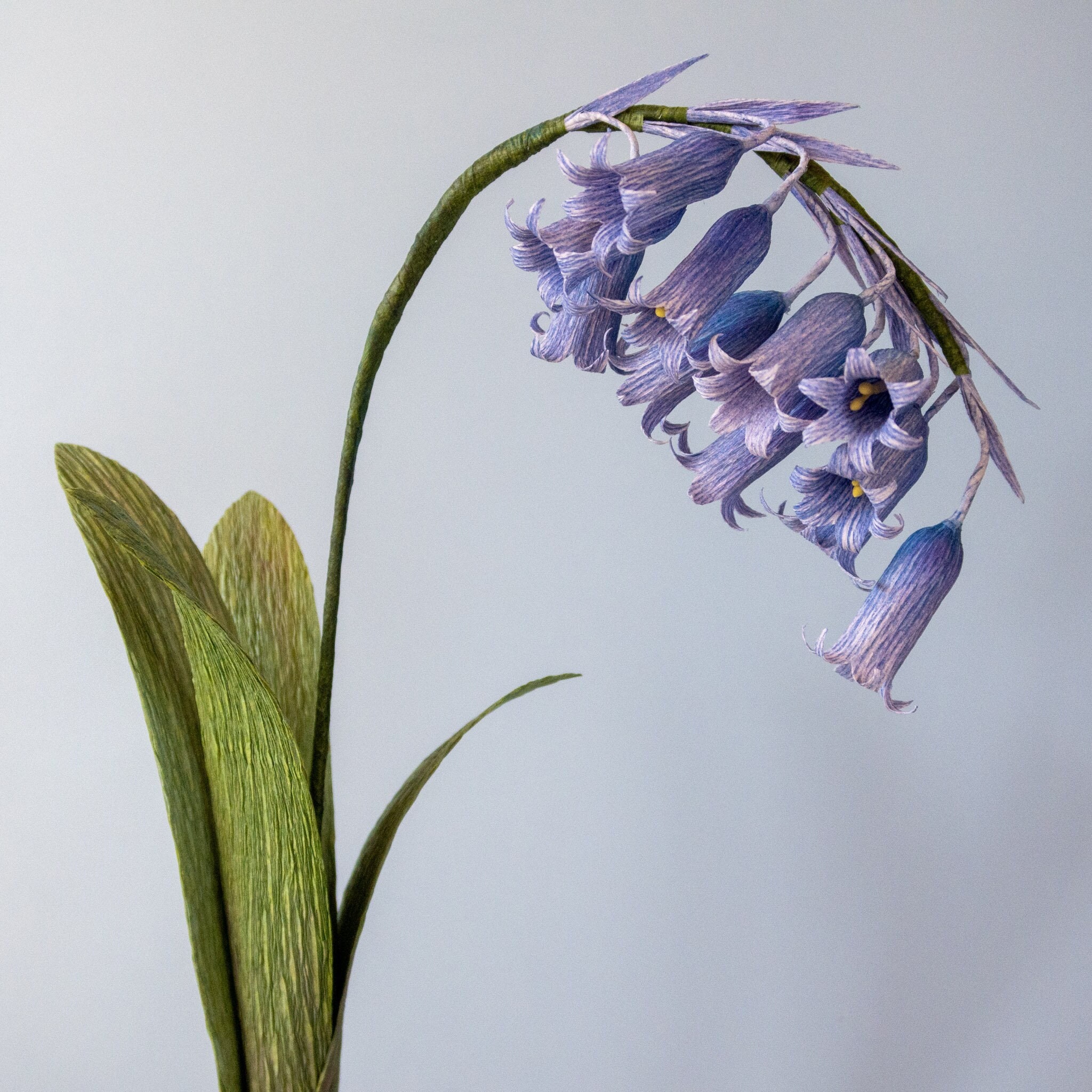 English Blue Bell Crepe Paper Flower Handmade Floral Gift Home Deco - Etsy