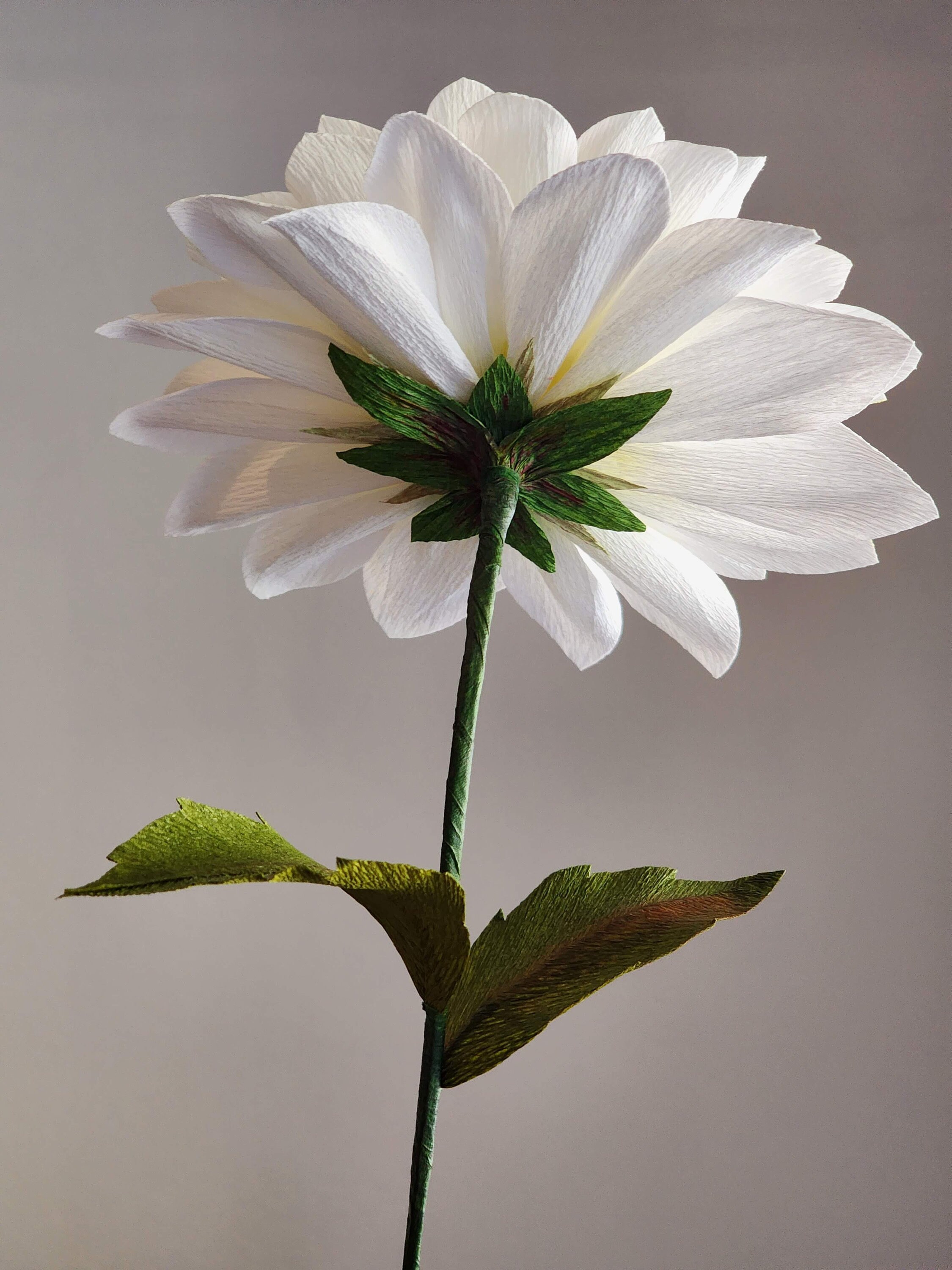 Crepe Paper Dahlia Crepe Paper Flower Handmade Floral Gift Home Deco - Etsy