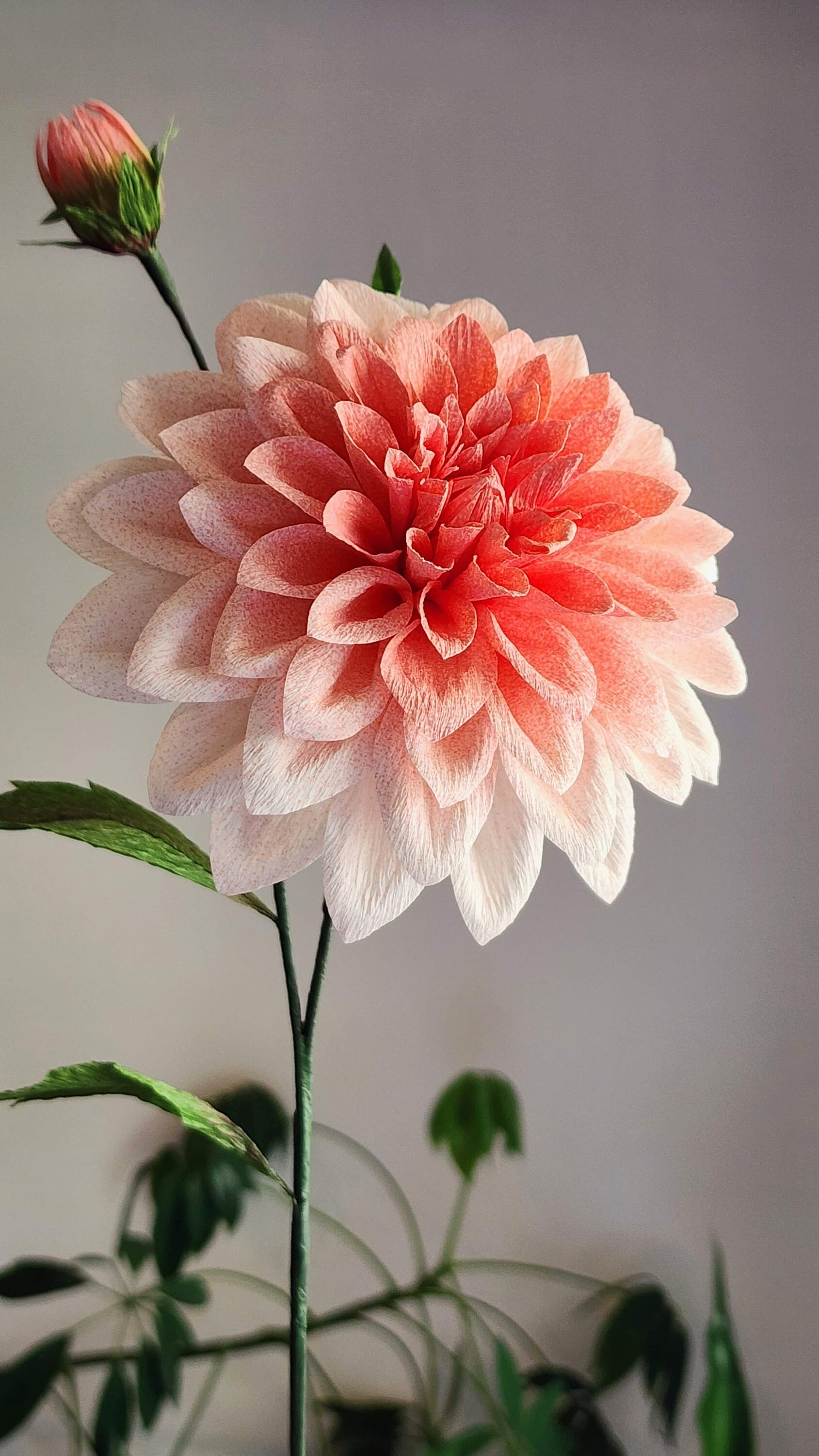 Crepe Paper Dahlia Crepe Paper Flower Handmade Floral Gift Home Deco - Etsy