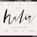 Margot Procreate Brush Calligraphy Brushes, Hand Lettering, Procreate ...