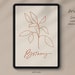 Margot Procreate Brush Calligraphy Brushes, Hand Lettering, Procreate ...