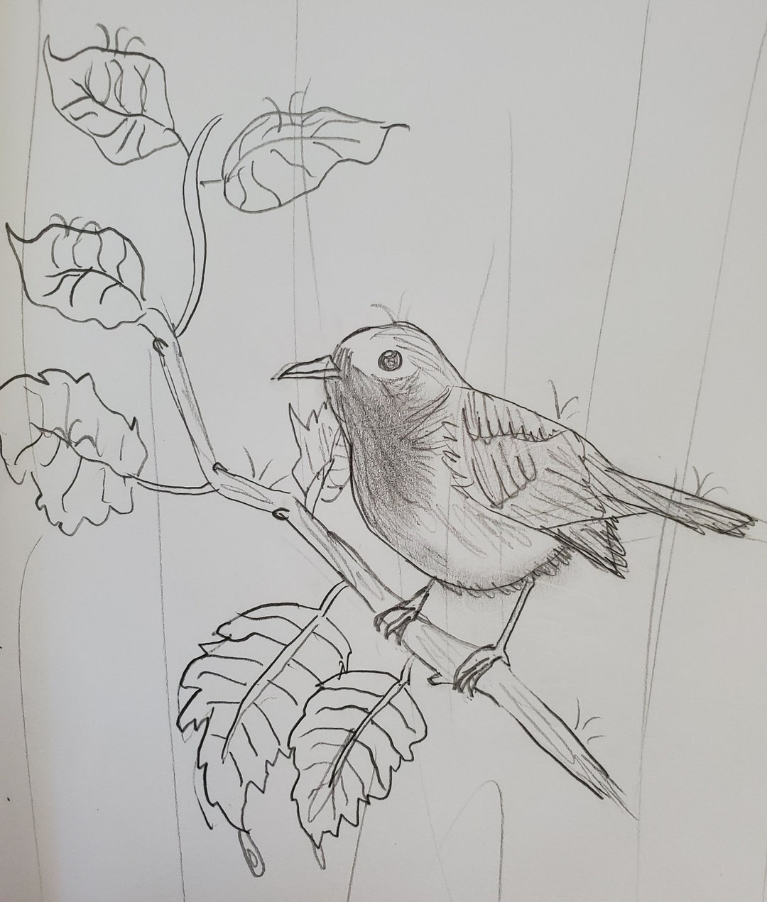 Hand Drawn Wild Birds - Etsy