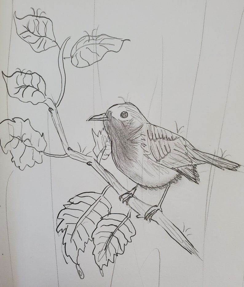 Hand Drawn Wild Birds - Etsy
