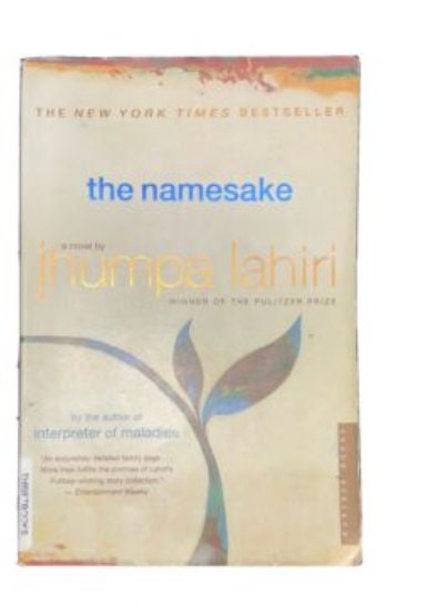 The Namesake Book