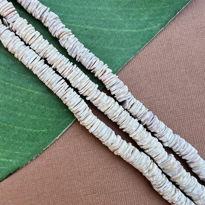 Clam Shell Beads - Etsy