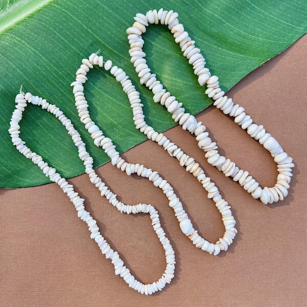 Puka Shells - Etsy