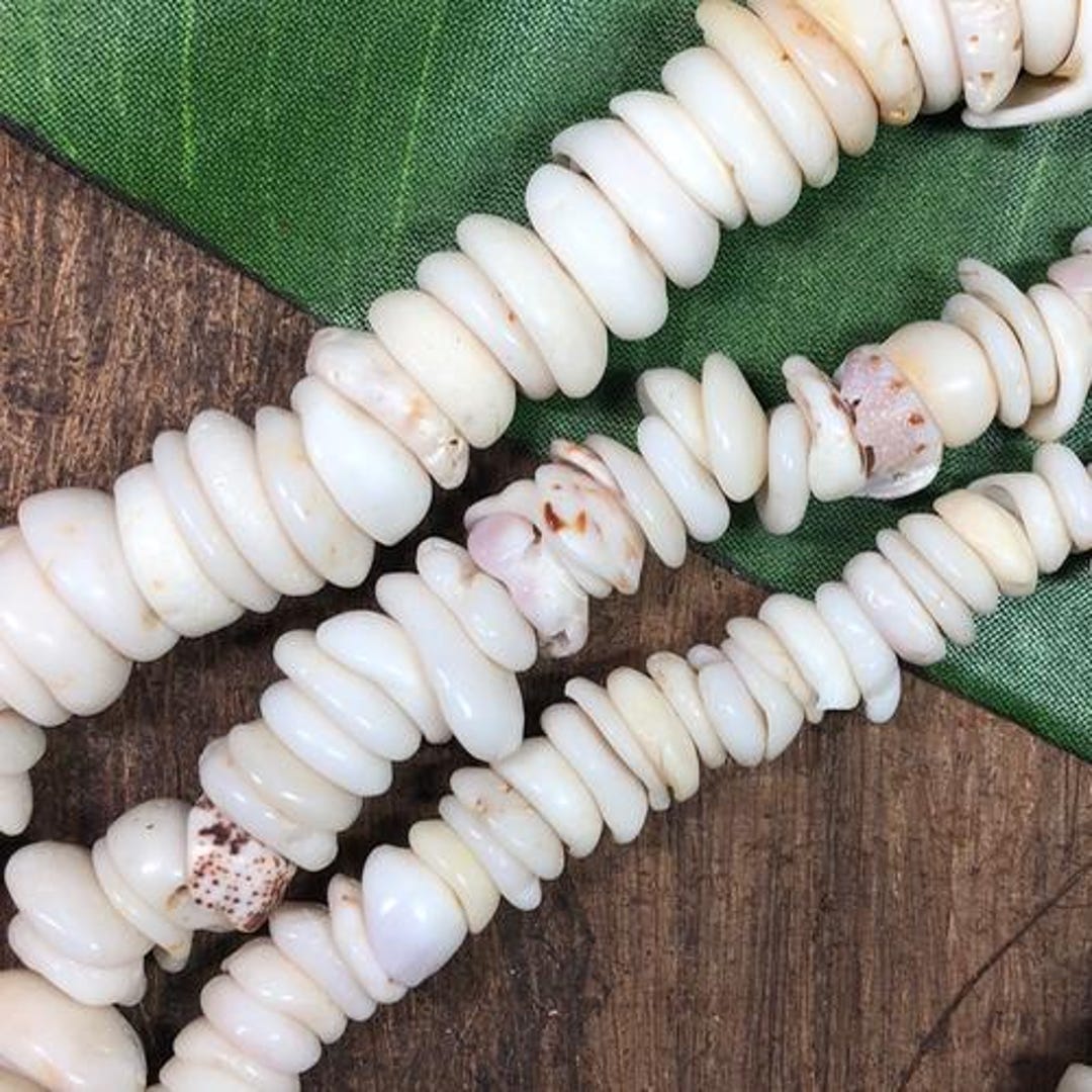 Vintage Puka Shell Beads - Etsy