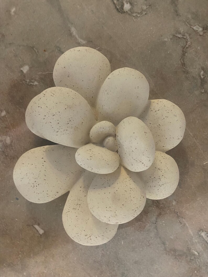 White Stone Succulent Floral Sculpture Composite Gallery Wall Art - Etsy