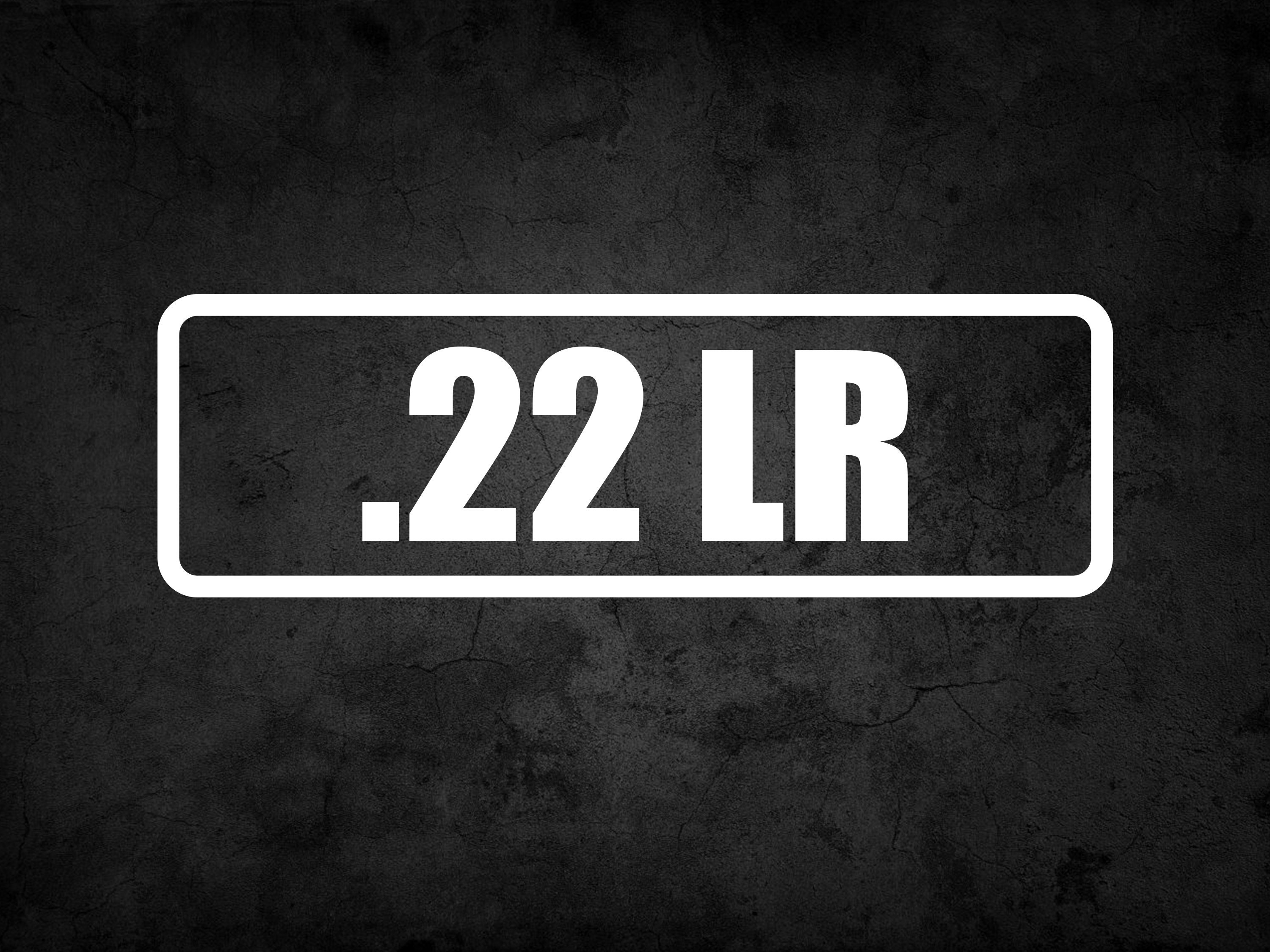 Ammo Storage Label for .22 LR Vinyl Decal Sticker - Etsy