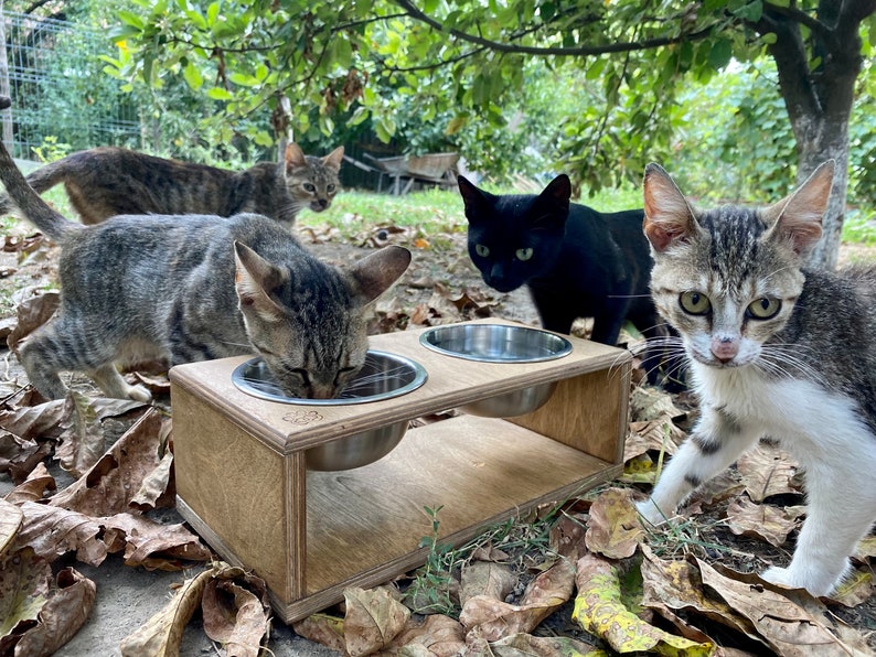 Raised Bowl Stand for Cats or Small Dogs Wood Elevated - Etsy