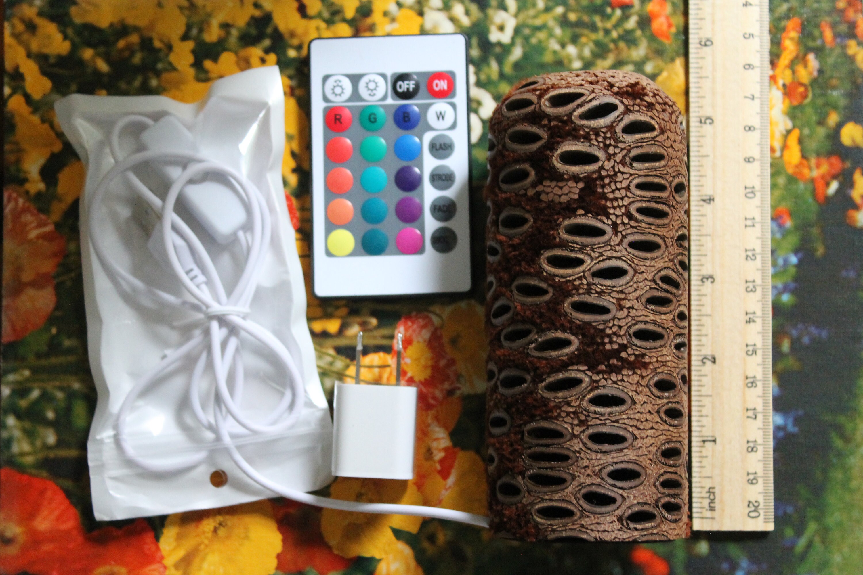 Lamp Light Banksia Pod Wood Lamp Light Banksia Seed Pod Color - Etsy