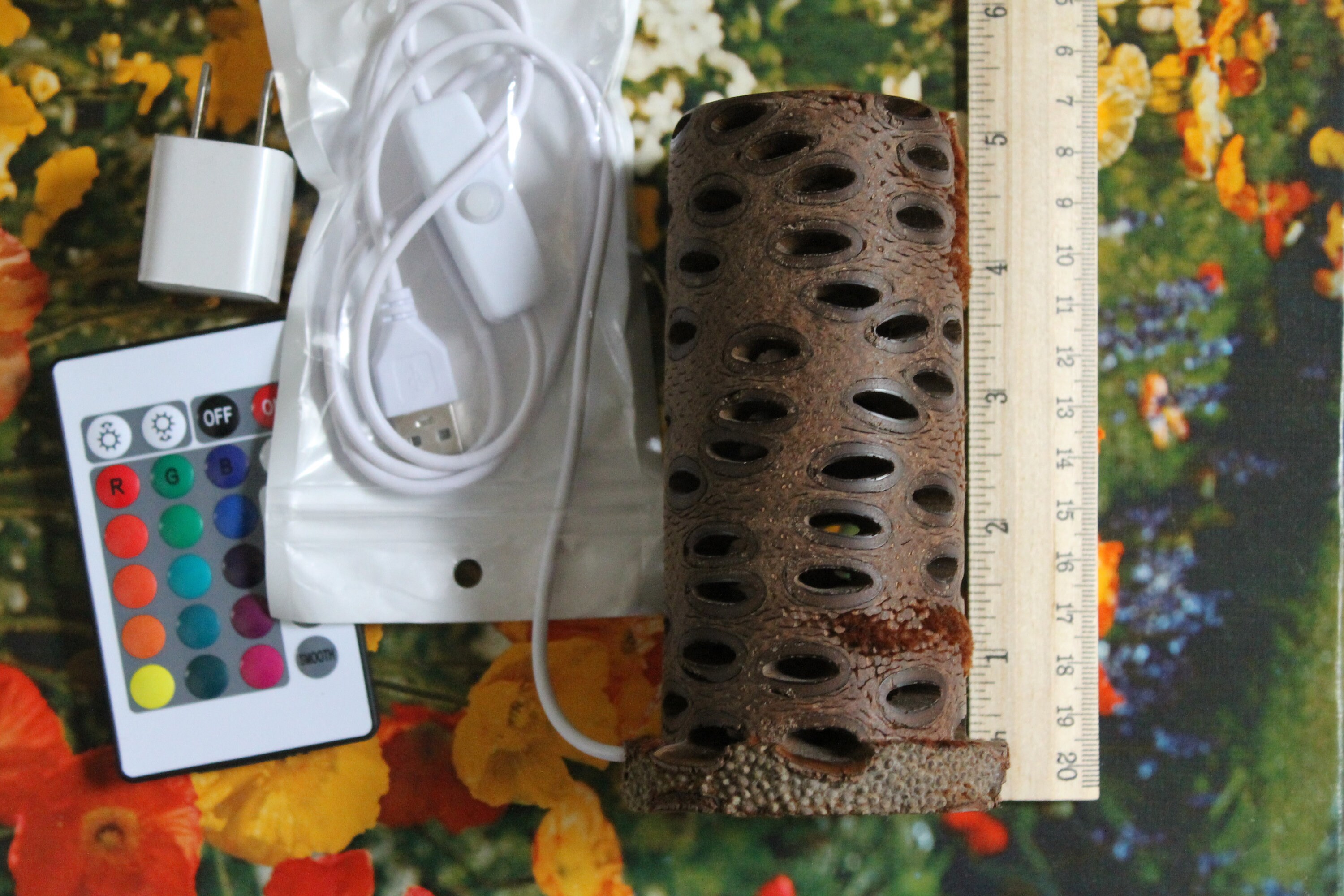 Lamp Light Banksia Pod Wood Lamp Light Banksia Seed Pod Color - Etsy