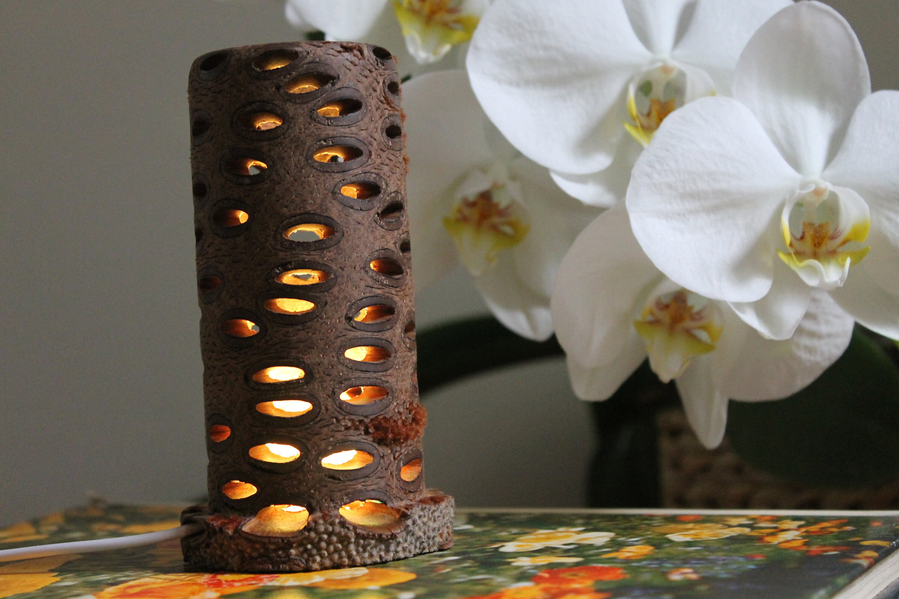 Lamp Light Banksia Pod Wood Lamp Light Banksia Seed Pod Color Changing ...