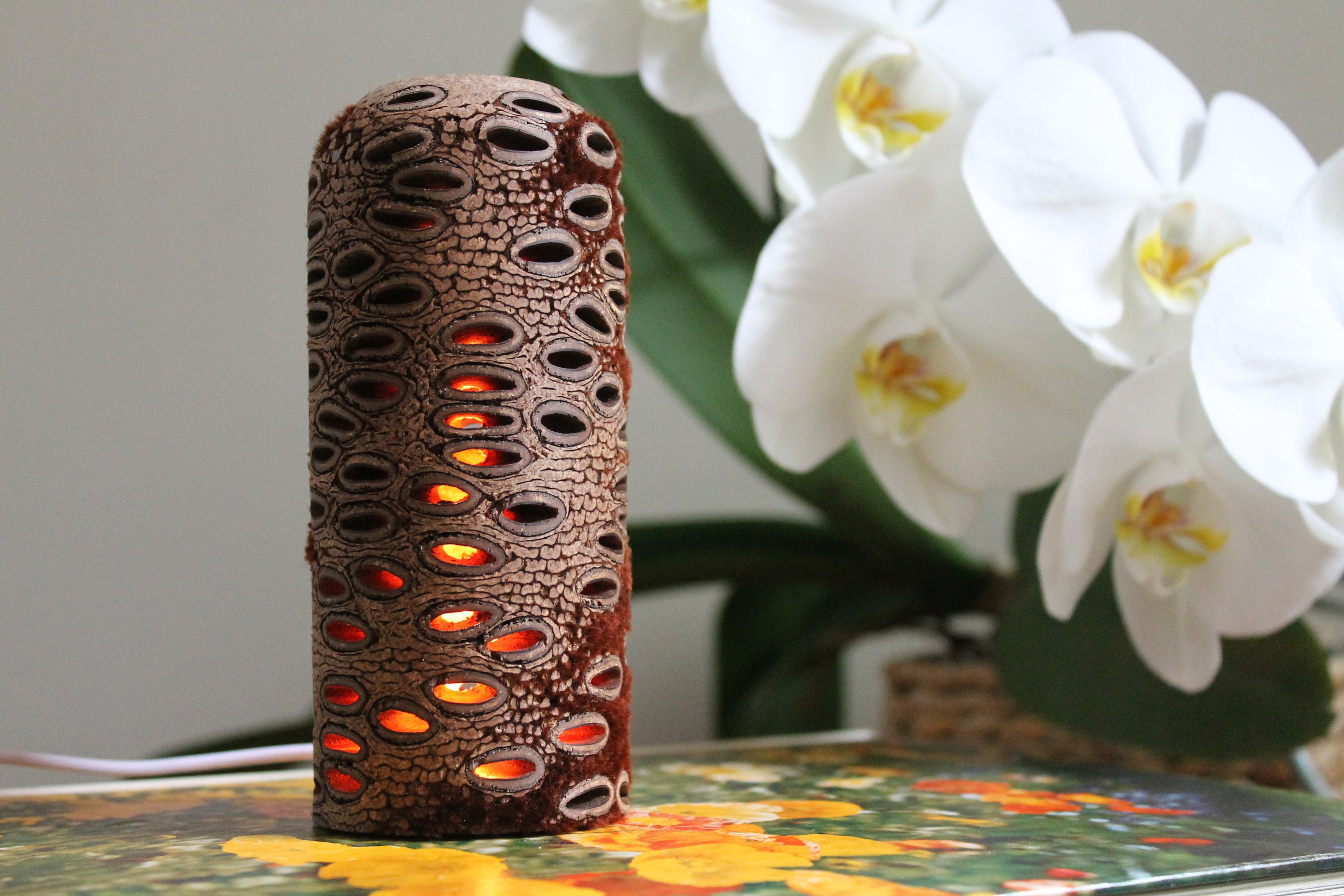 Lamp Light Banksia Pod Wood Lamp Light Banksia Seed Pod Color Changing ...