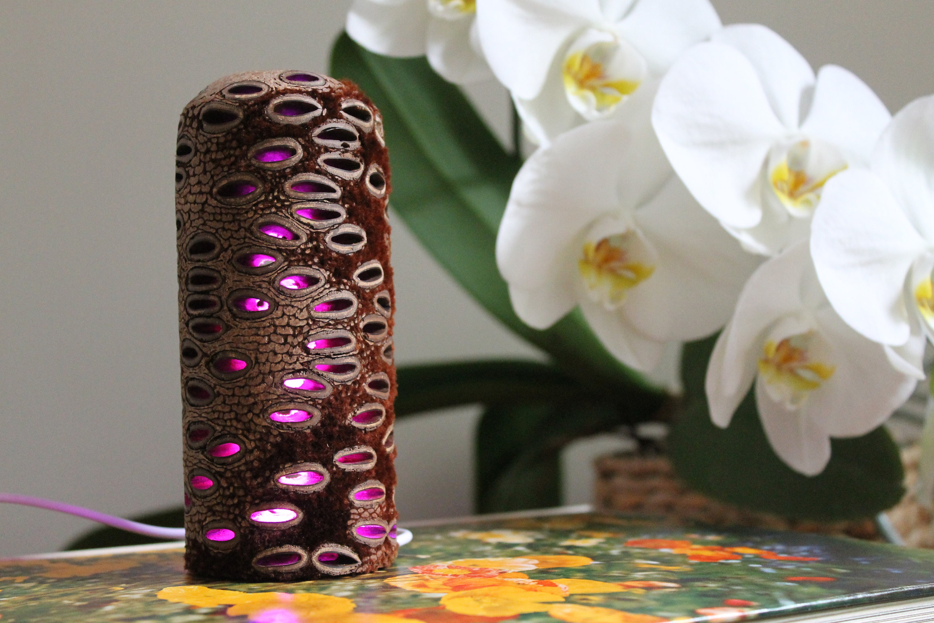 Lamp Light Banksia Pod Wood Lamp Light Banksia Seed Pod Color Changing ...