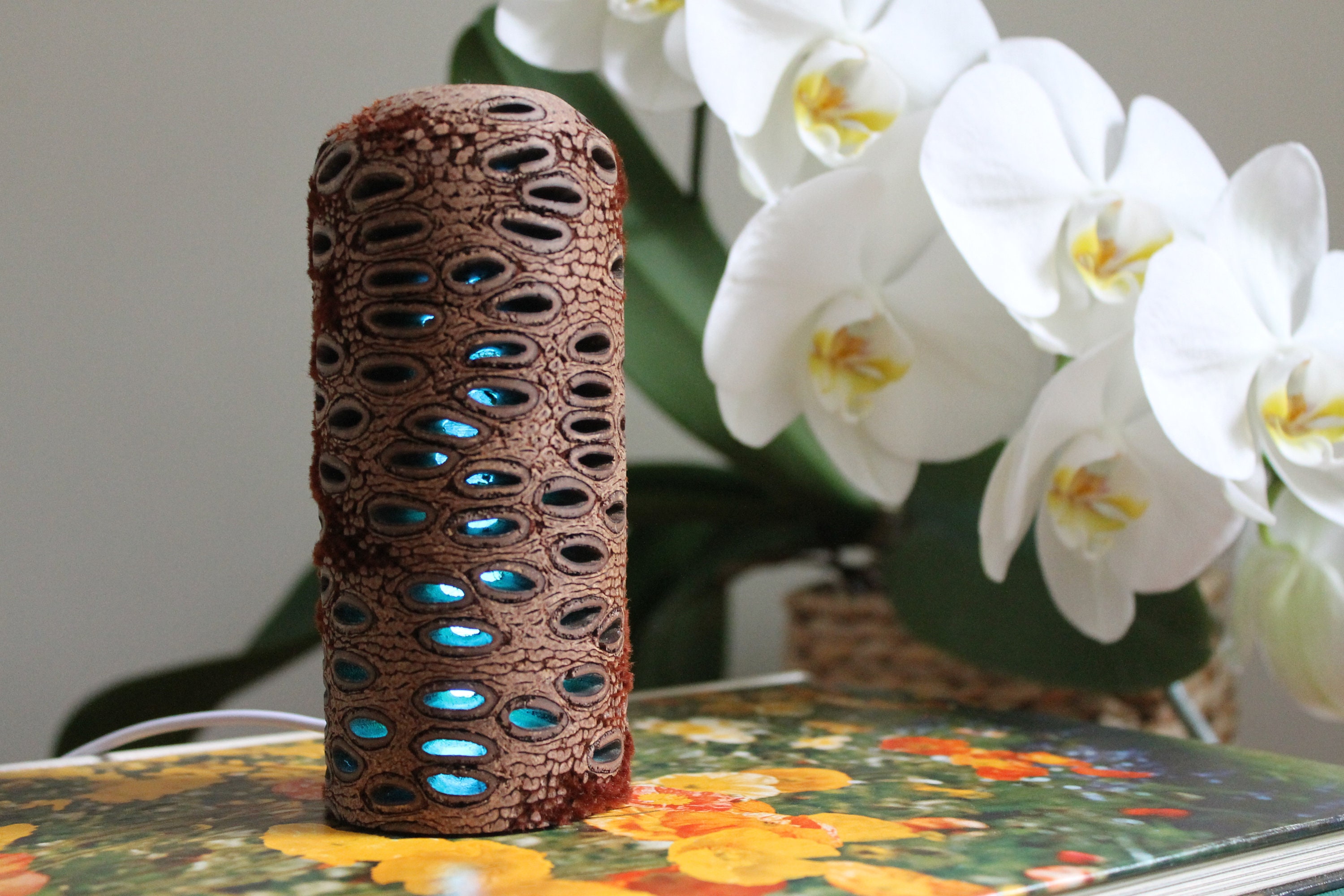 Lamp Light Banksia Pod Wood Lamp Light Banksia Seed Pod Color - Etsy