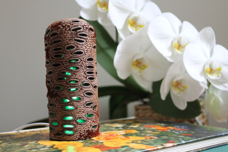 Lamp Light Banksia Pod Wood Lamp Light Banksia Seed Pod Color - Etsy