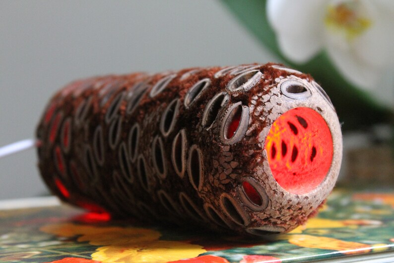 Lamp Light Banksia Pod Wood Lamp Light Banksia Seed Pod Color - Etsy