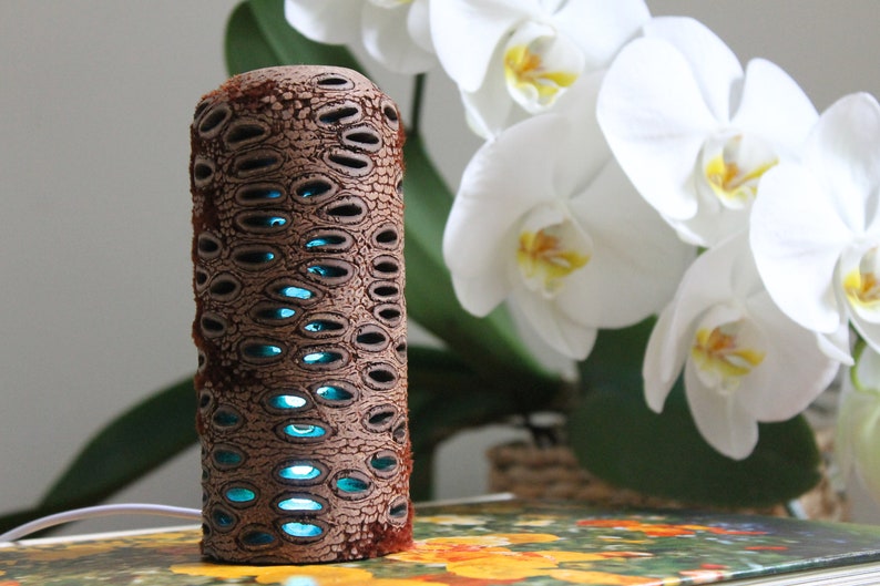 Lamp Light Banksia Pod Wood Lamp Light Banksia Seed Pod Color - Etsy