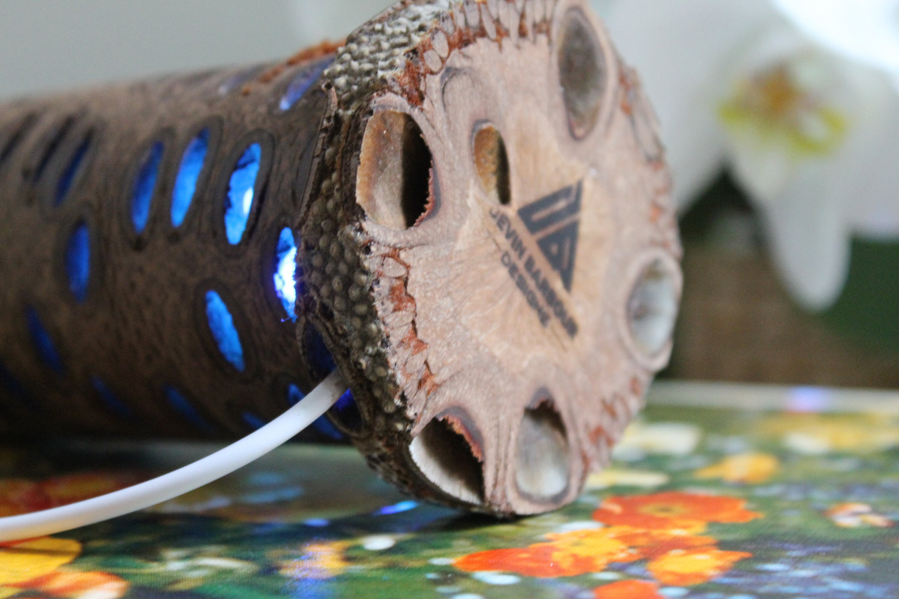 Lamp Light Banksia Pod Wood Lamp Light Banksia Seed Pod Color - Etsy