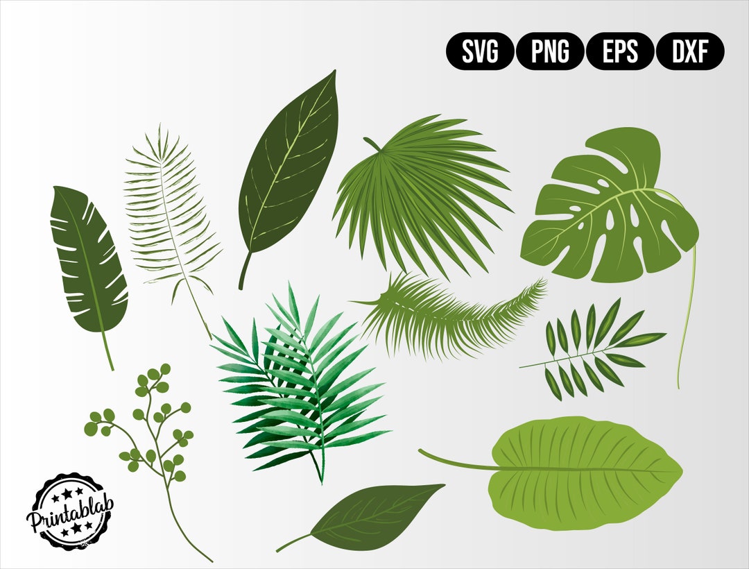 Tropical Leaf Svg Monstera Leaf Svg Palm Leaf Svg - Etsy Canada