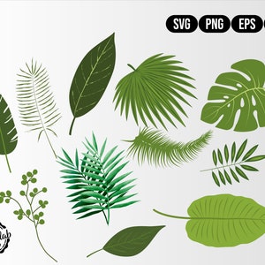 Tropical Leaf Svg Monstera Leaf Svg Palm Leaf Svg - Etsy Canada