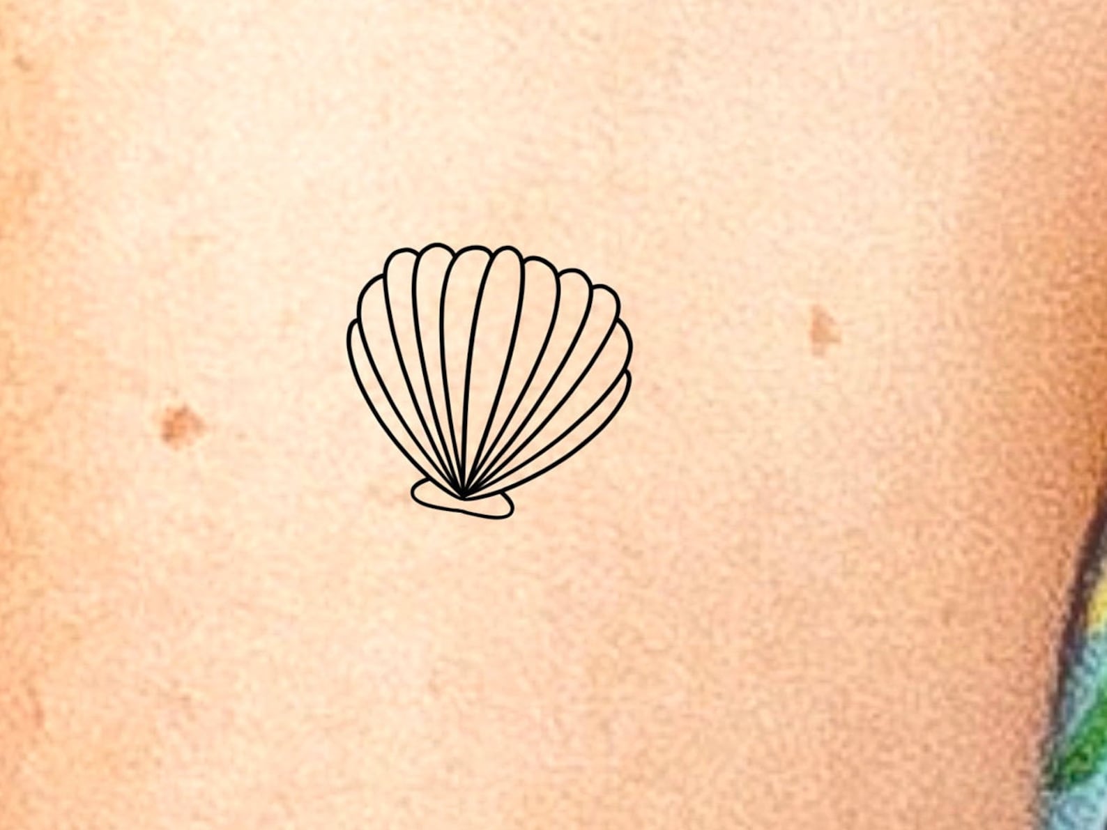 Seashell Temporary Tattoo / Shell Tattoo - Etsy
