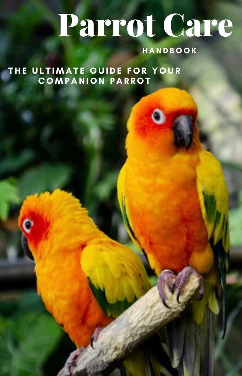 The Ultimate Parrot Care Guide: Essential Tips for a Happy and Healthy ...