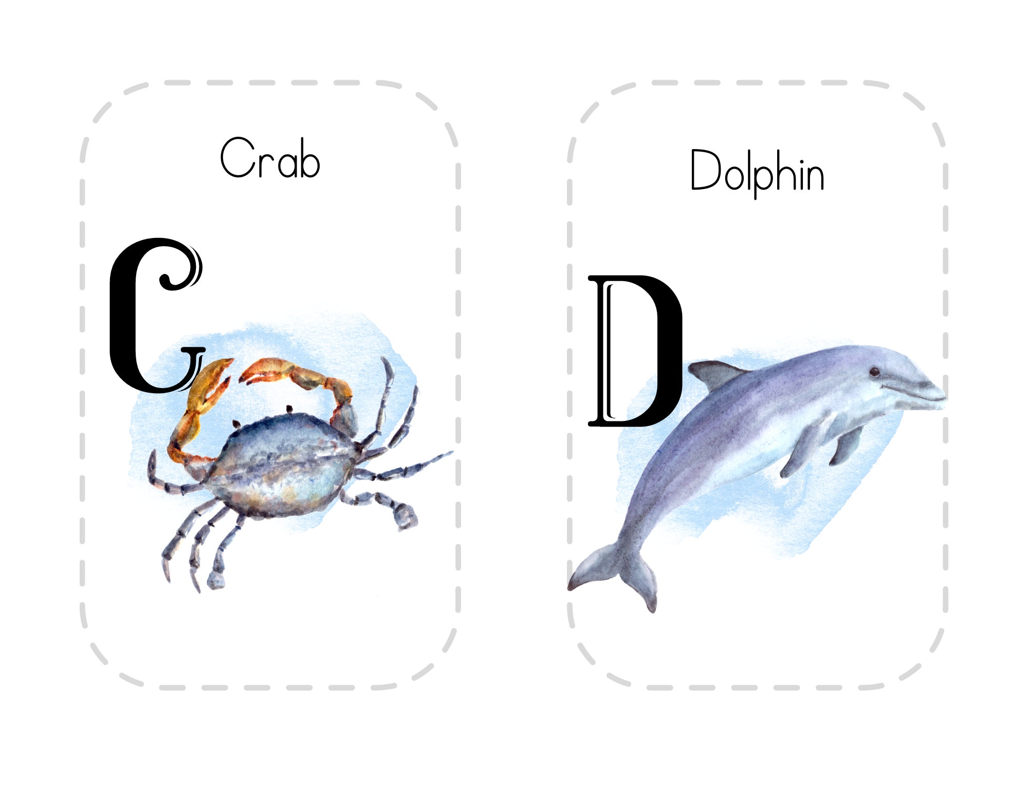 Alphabet Watercolor Flash Cards Ocean Theme Pdf Printable - Etsy
