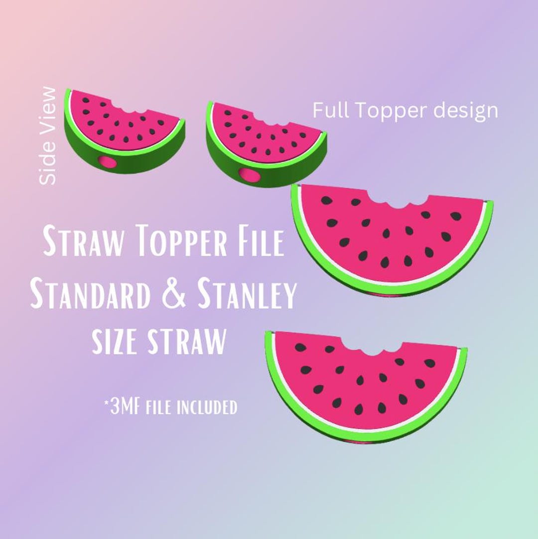 Watermelon Straw Topper Digital File | Fits Standard & Stanley Straws ...