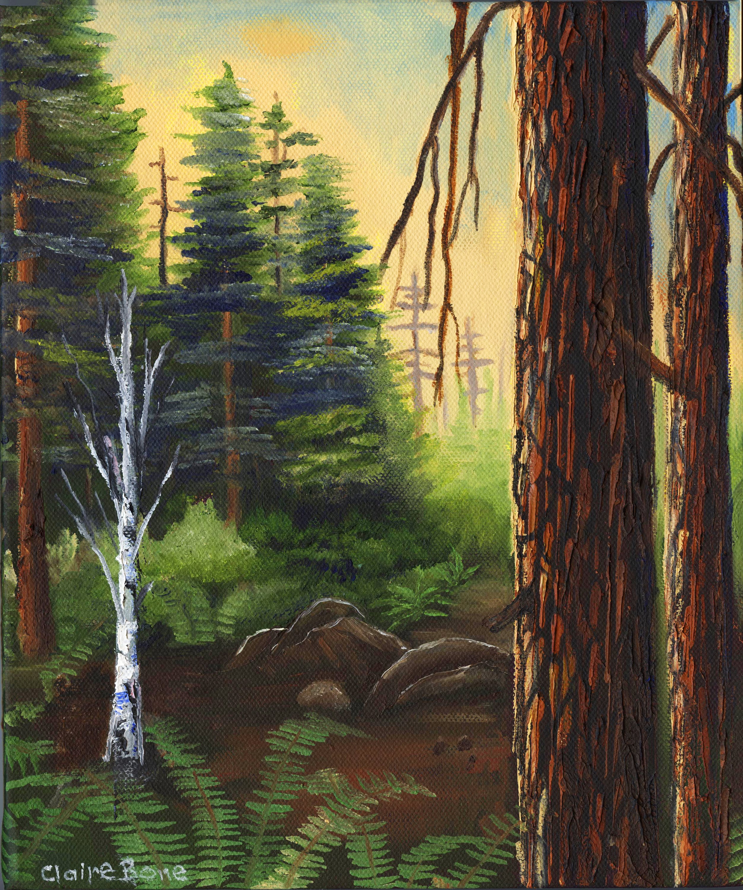 Evening In The Forest Art Print | Etsy