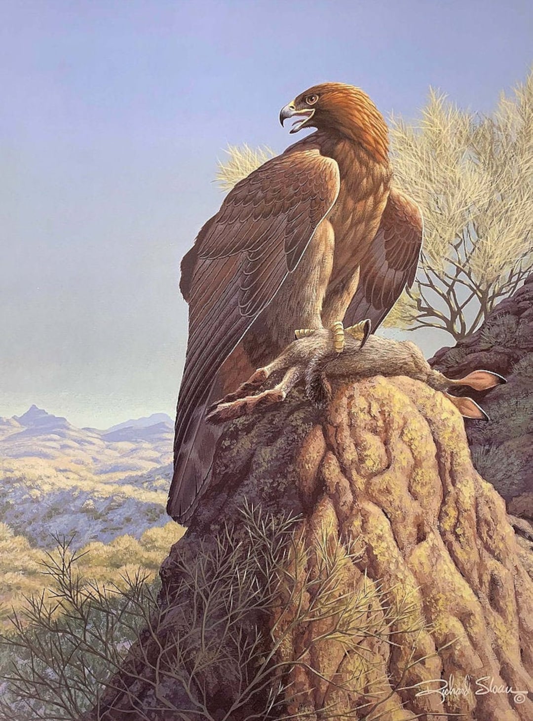 Golden Eagle Signed Lithograph by Richard Sloan From the - Etsy