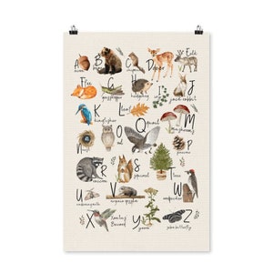 Woodland Alphabet Poster Woodland Nursery Decor Educational Posters ...