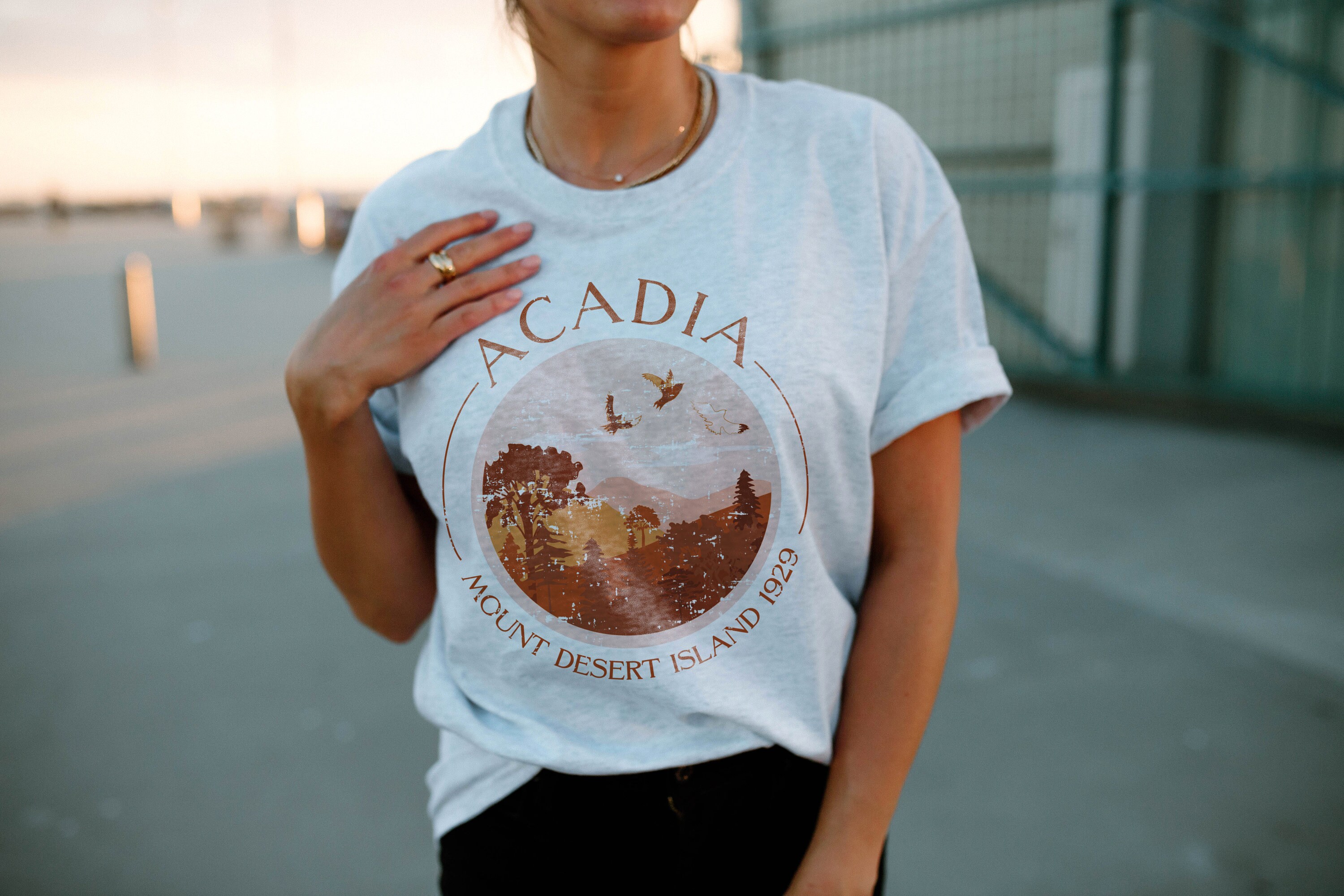 Acadia National Park Shirt Acadia Shirt Retro National Park | Etsy