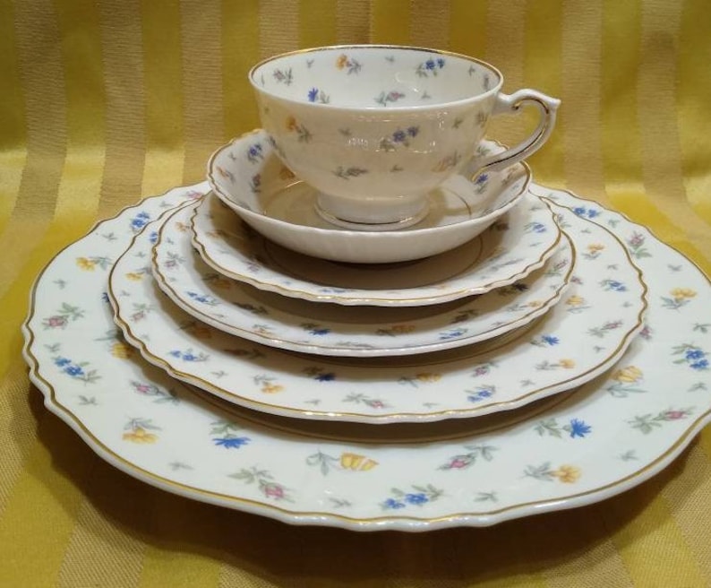 Federal Shape Syracuse China. Pattern: Suzanne. 6 Piece Place Settings ...
