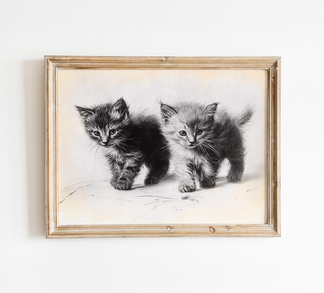 Charming Vintage Kitten Sketch Art Print – Instant Download | Cute ...
