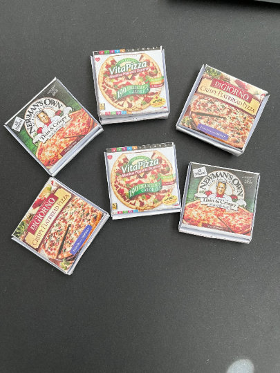 Miniature Frozen Food Bundle - Etsy