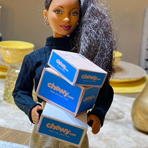 Miniature Chewy Boxes - Etsy