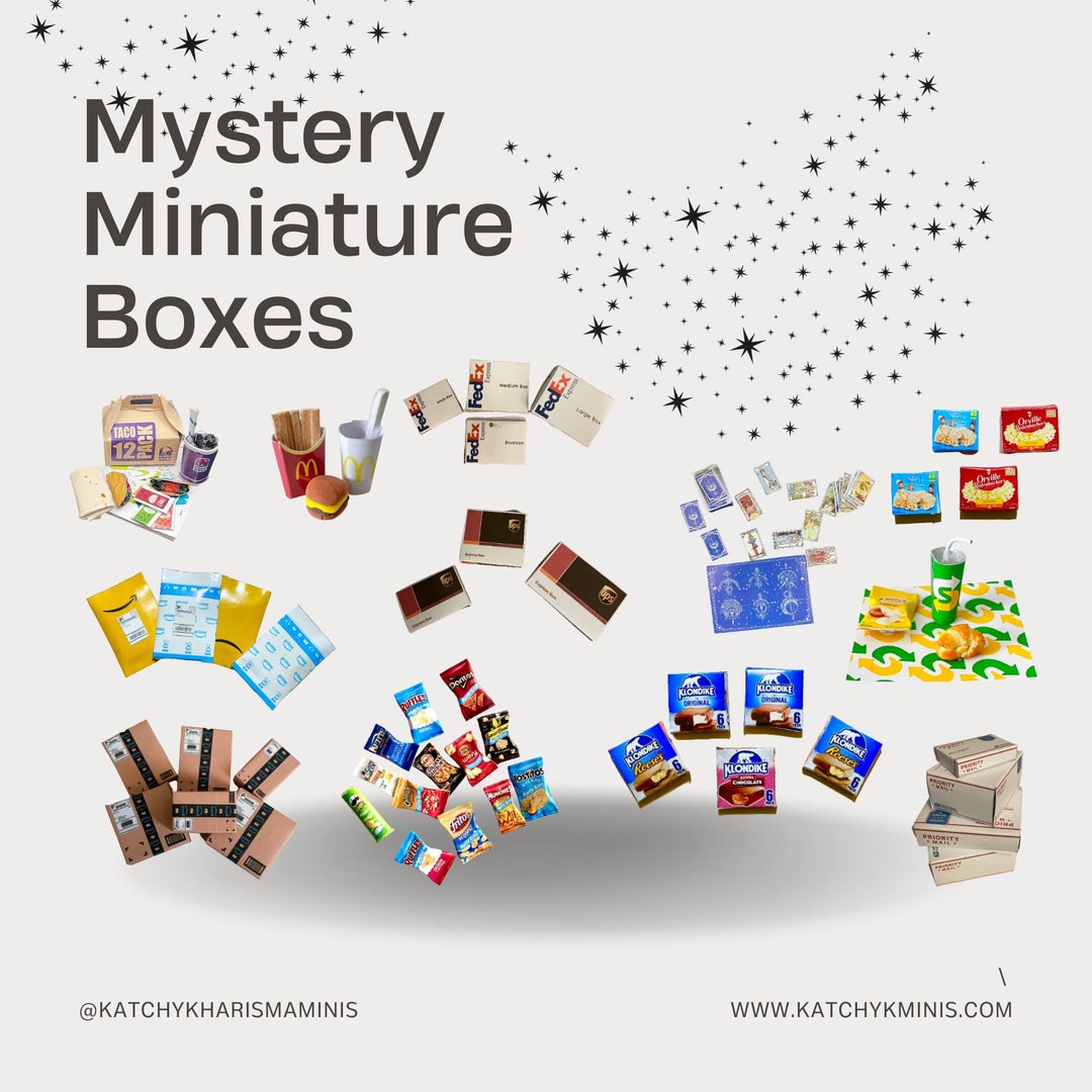 Miniature Mystery Box - Etsy