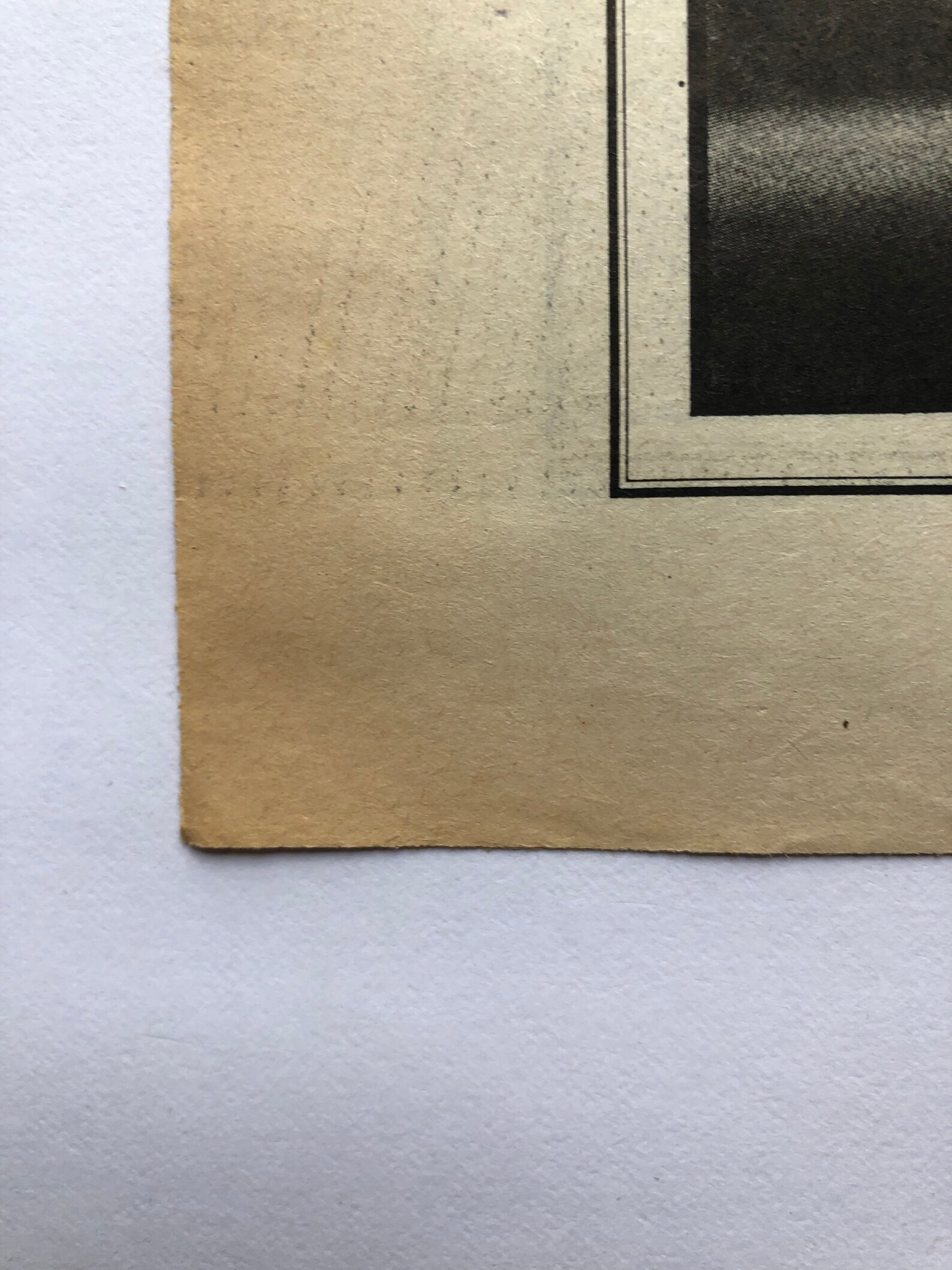 Arnold Schwarzenegger. Rare Original Authentic Vintage | Etsy