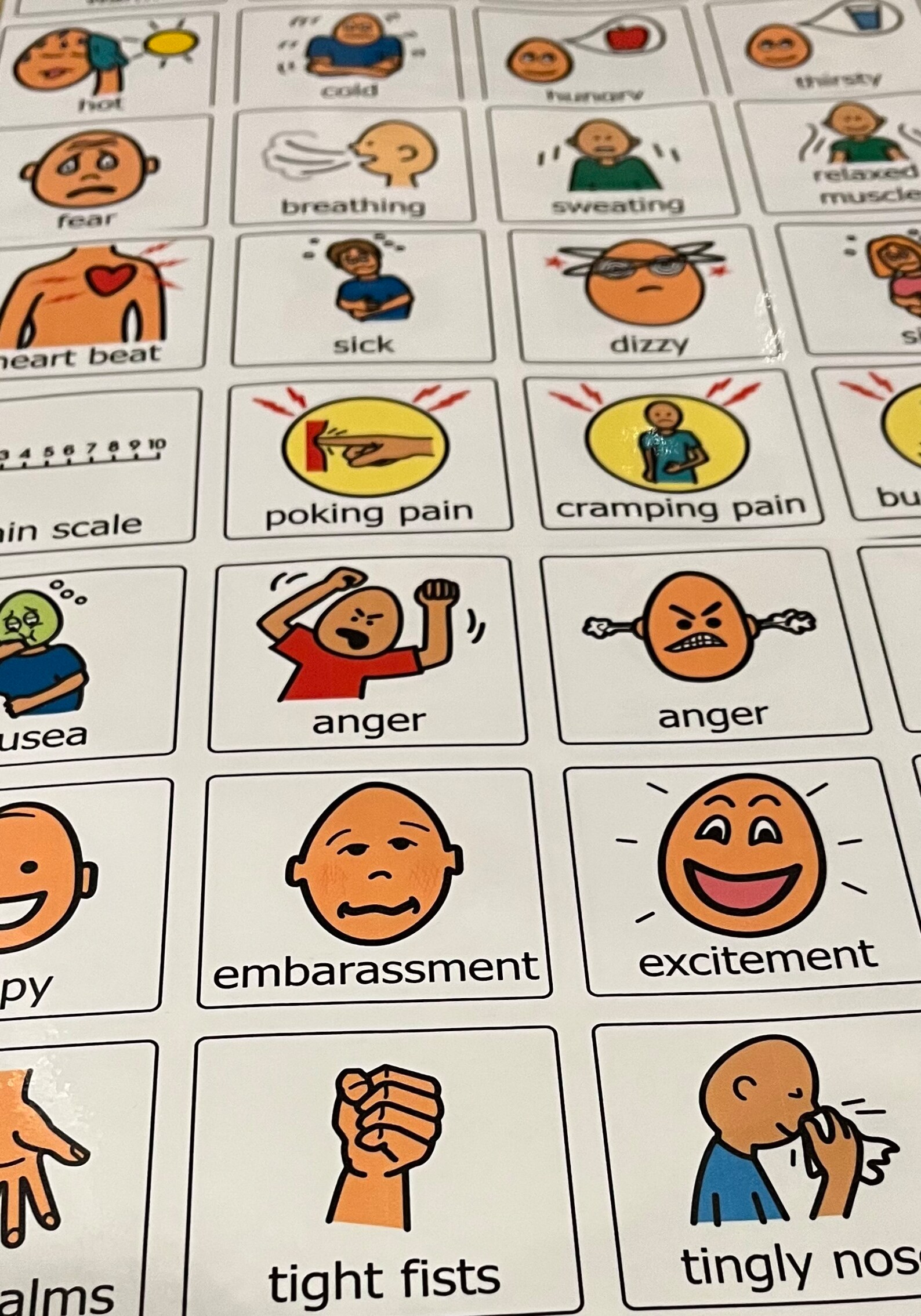 Interoception Symbols Symbols Visual Support Visual Aid - Etsy