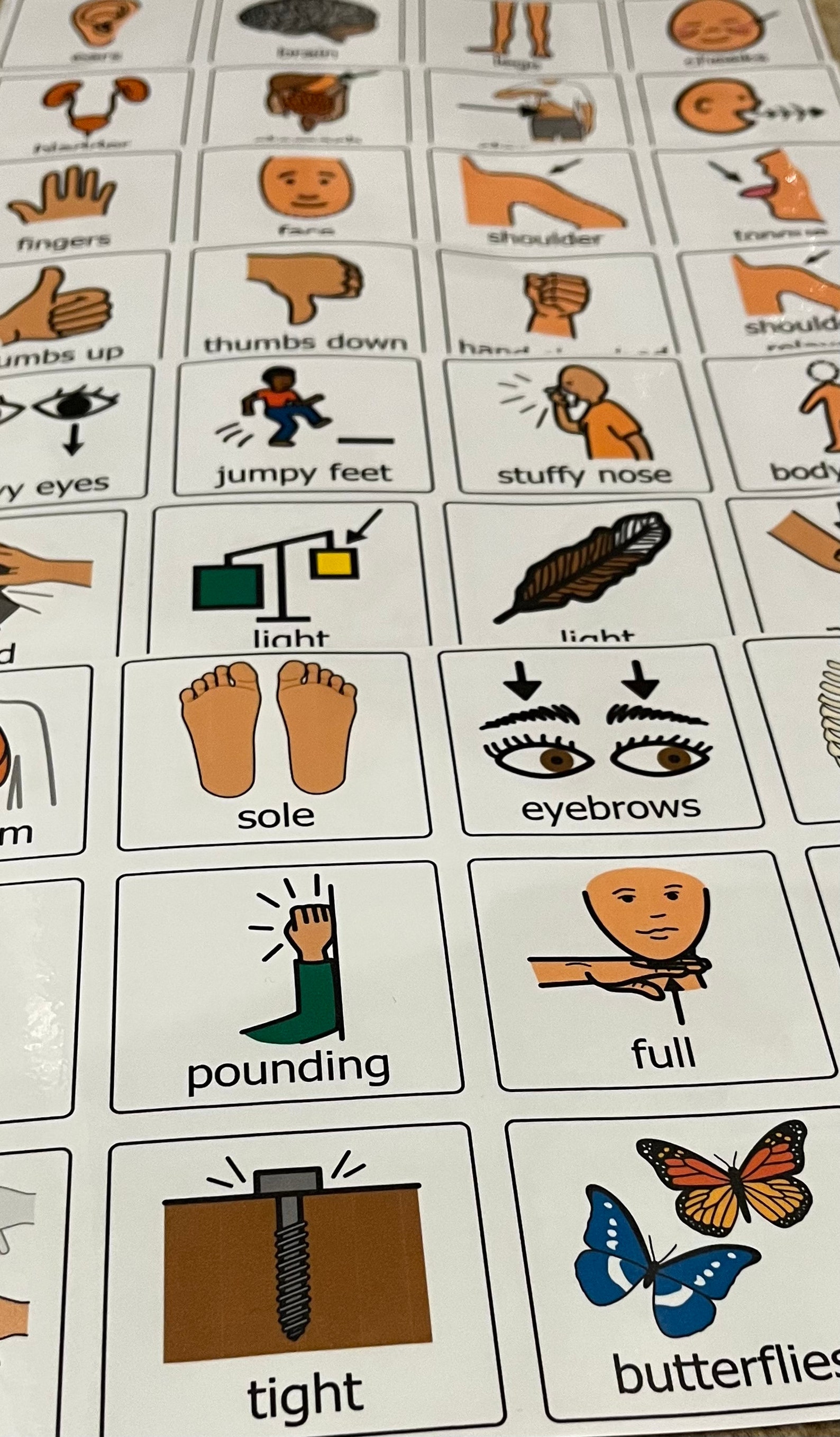 Interoception Symbols Symbols Visual Support Visual Aid - Etsy