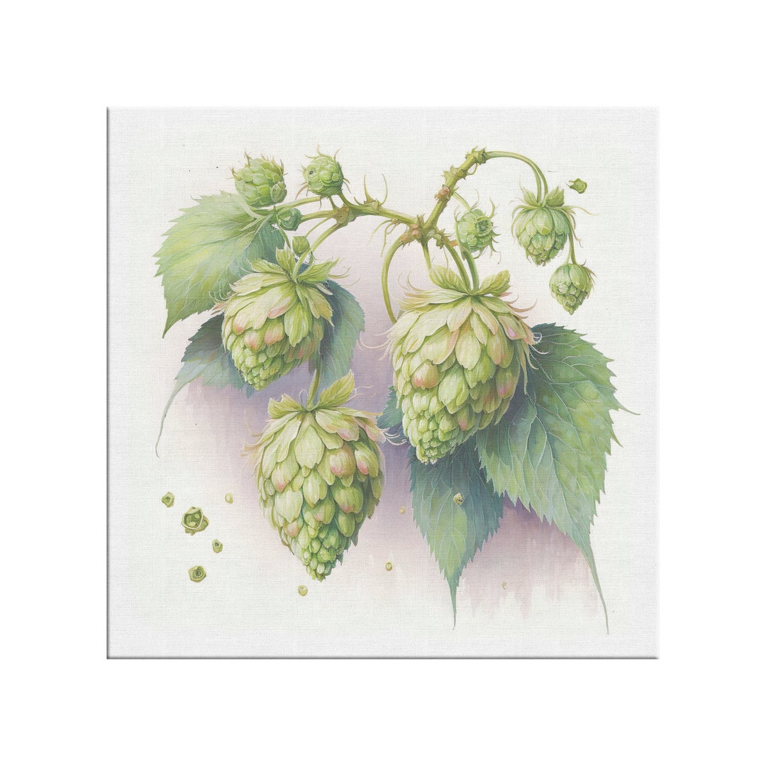 Hops Wall Art in Watercolor Paint Wall Art Gift for Beer - Etsy