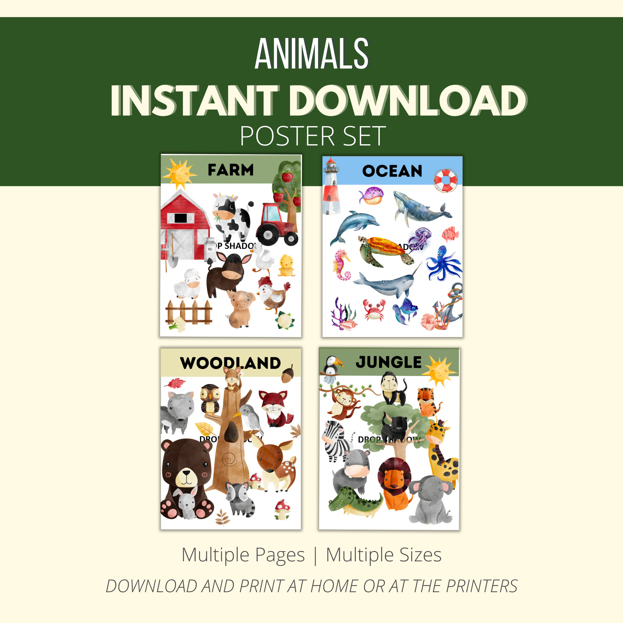 Animal Educational Posters DIGITAL DOWNLOAD, Home Schooling Posters ...