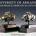 University of Arkansas Razorback Desktop Sculpture - Bronze Plated Cast ...