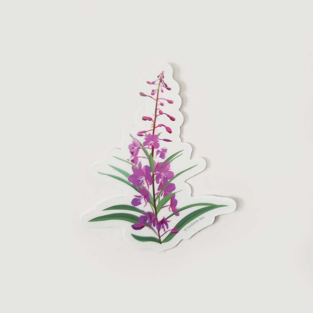Alaska Fireweed Sticker No. 2 - Etsy