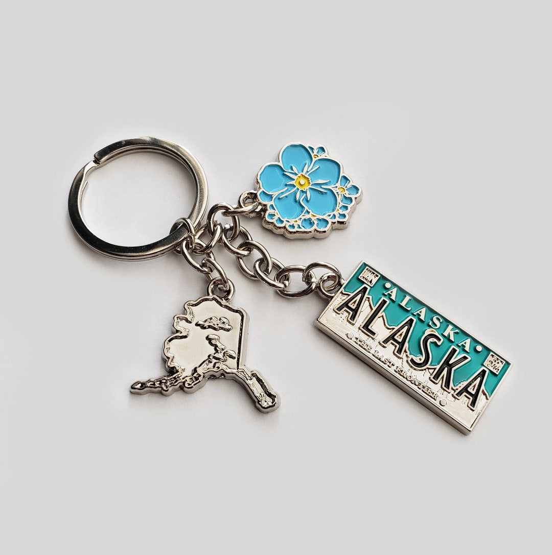 Northern Lights Alaska Aurora License Plate, Forget-me-not and Alaska ...