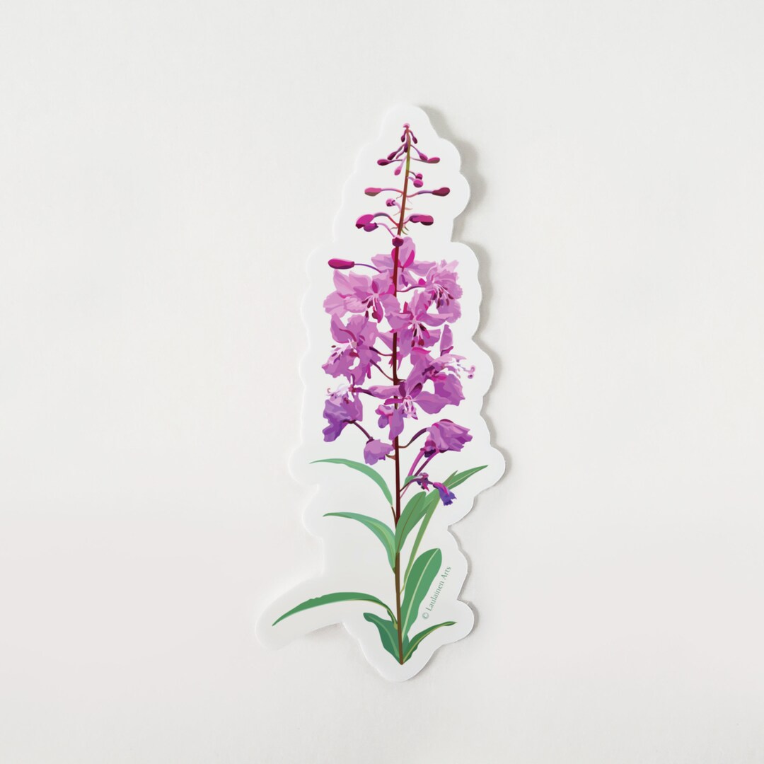 Alaska Fireweed Sticker No. 1 - Etsy